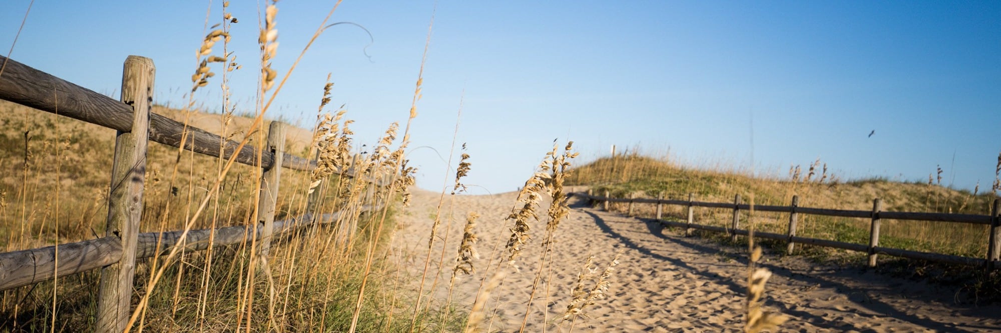 Sandbridge Beach Vacation Rentals | Sandbridge Blue Vacations